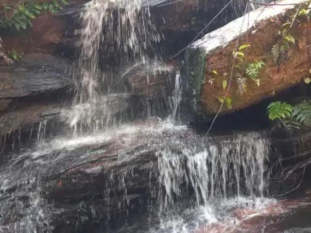 Sítio / Chácara para Venda em Marliéria/MG Centro