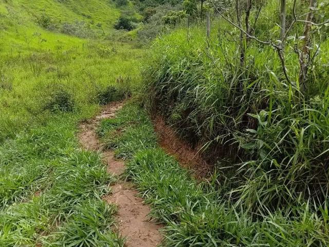 Sítio / Chácara para Venda em Marliéria/MG Centro
