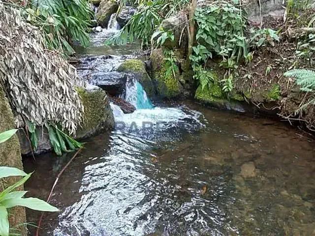 Sítio / Chácara para Venda em Marmelópolis/MG Centro