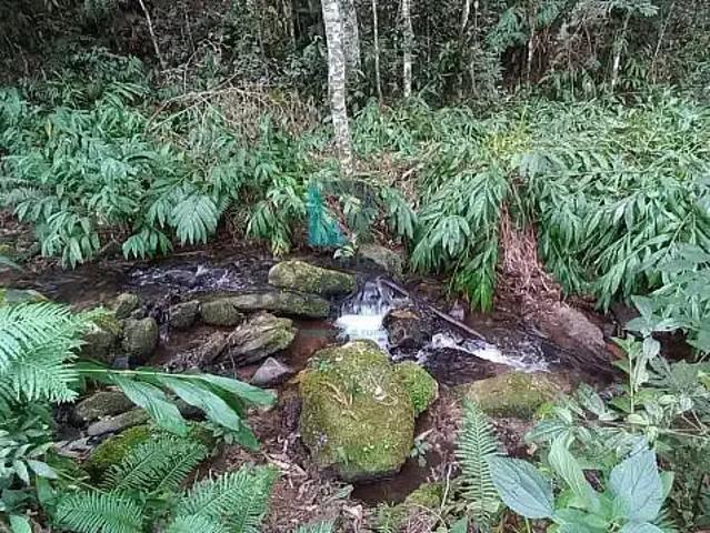 Sítio / Chácara para Venda em Marmelópolis/MG Centro