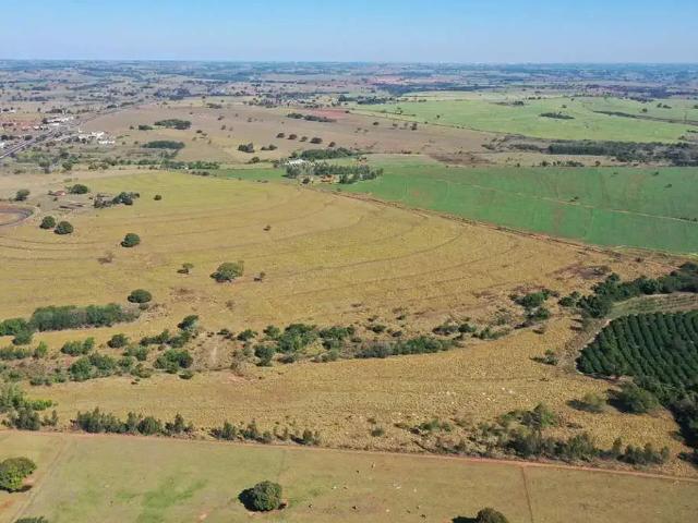 Sítio / Chácara para Venda em Martinópolis/SP Zona Rural 3 Quartos
