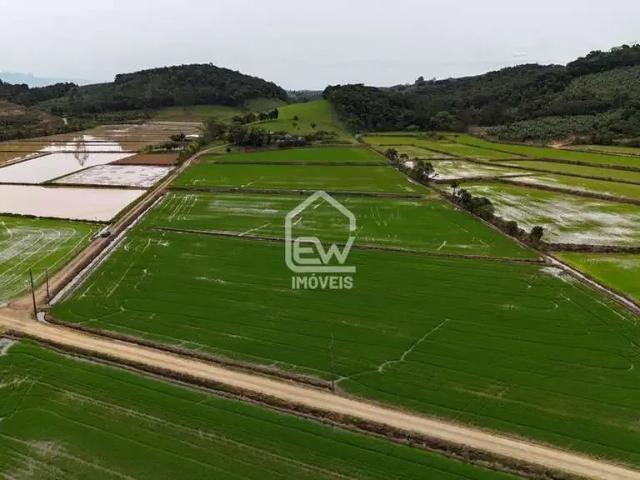 Sítio / Chácara para Venda em Massaranduba/SC Centro 3 Quartos