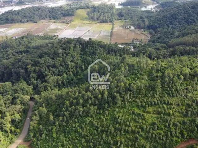 Sítio / Chácara para Venda em Massaranduba/SC Braço do Norte 1 Quartos