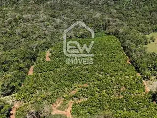 Sítio / Chácara para Venda em Massaranduba/SC Guarani Mirim 1 Quartos