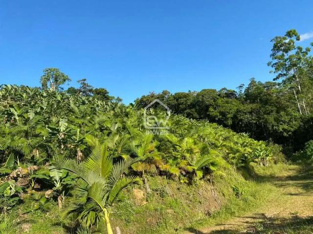 Sítio / Chácara para Venda em Massaranduba/SC Zona Rural 1 Quartos