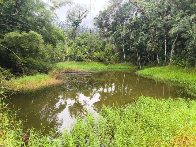 Sítio / Chácara para Venda em Massaranduba/SC Zona Rural 3 Quartos