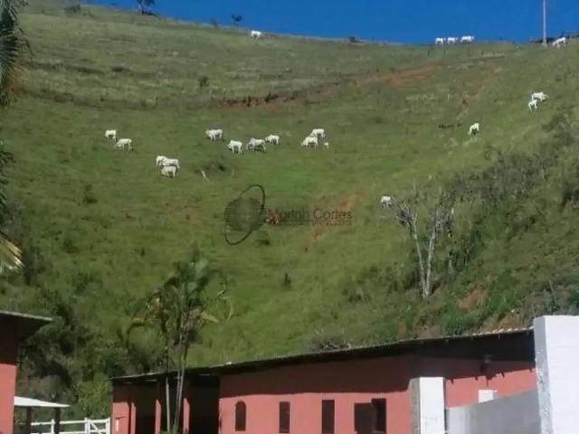 Sítio / Chácara para Venda em Miguel Pereira/RJ Zona Rural