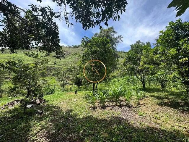 Sítio / Chácara para Venda em Miguel Pereira/RJ Centro 8 Quartos