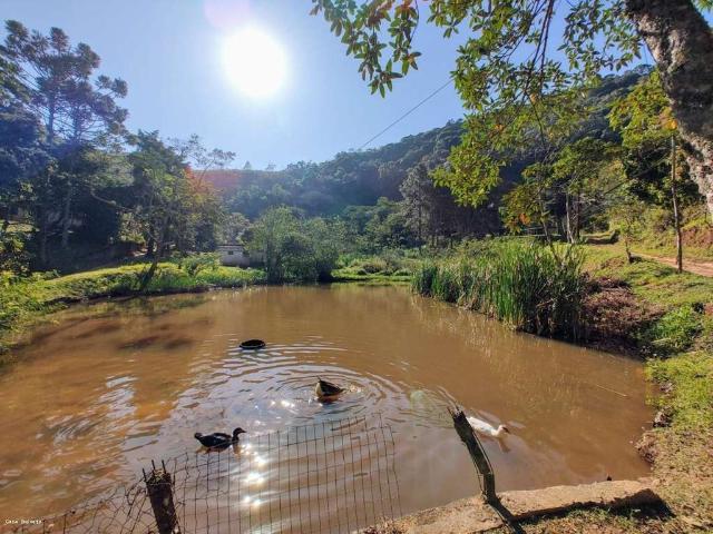 Sítio / Chácara para Venda em Miguel Pereira/RJ Governador Portela 3 Quartos