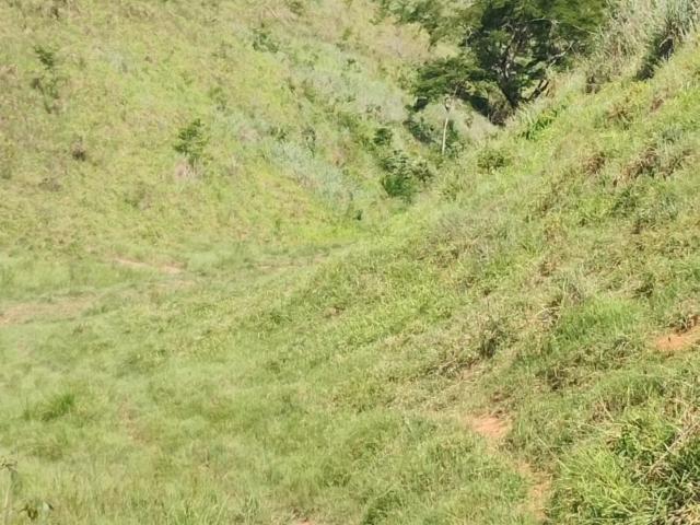 Sítio / Chácara para Venda em Mimoso do Sul/ES Centro