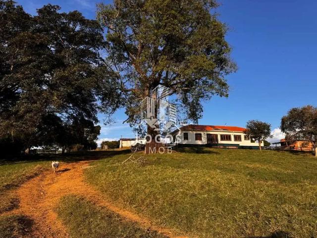 Sítio / Chácara para Venda em Minduri/MG Centro 3 Quartos