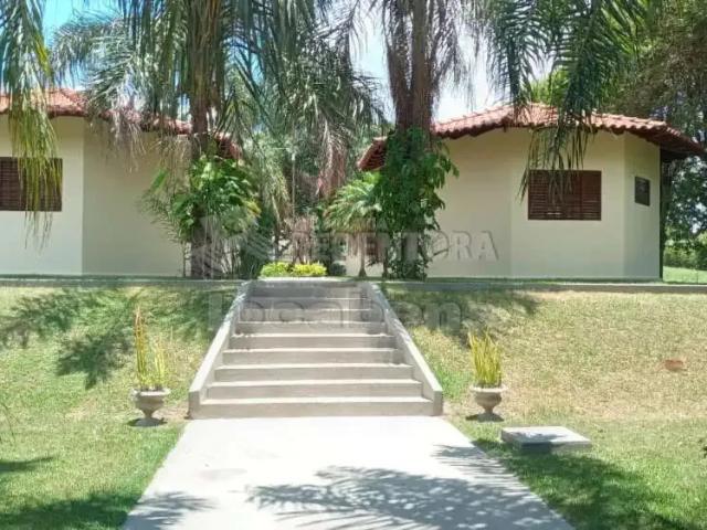 Sítio / Chácara para Venda em Mira Estrela/SP Zona Rural 4 Quartos