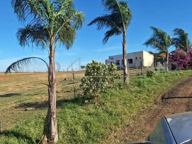 Sítio / Chácara para Venda em Mirante do Paranapanema/SP Zona Rural 2 Quartos