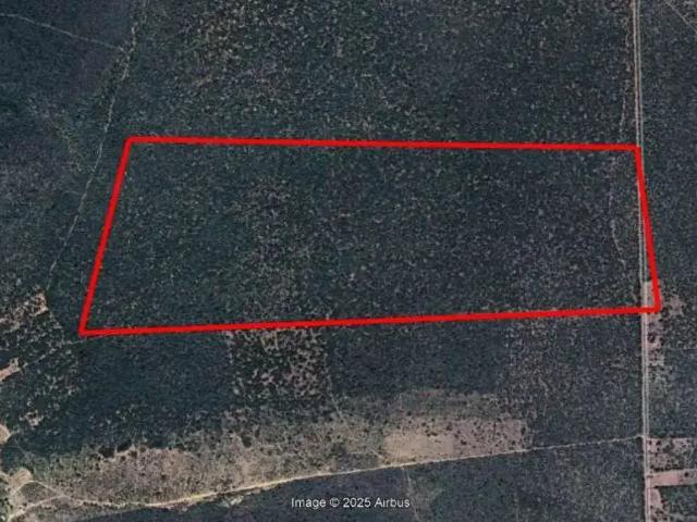 Sítio / Chácara para Venda em Mirangaba/BA Área Rural de Mirangaba