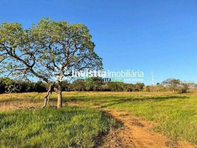 Sítio / Chácara para Venda em Miranorte/TO Setor Central