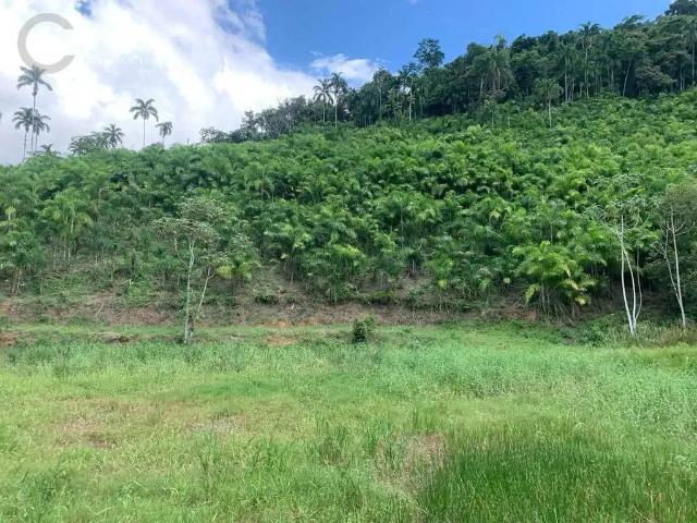 Sítio / Chácara para Venda em Miracatu/SP Área Rural