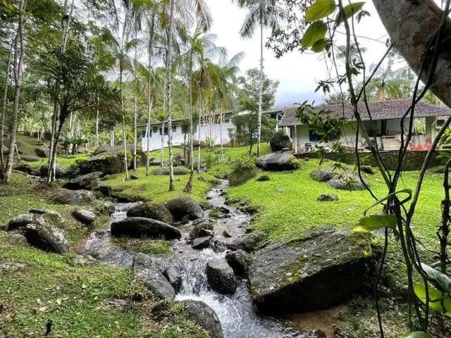 Sítio / Chácara para Venda em Miracatu/SP Área Rural 4 Quartos