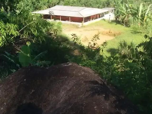 Sítio / Chácara para Venda em Miracatu/SP Matsuda 4 Quartos