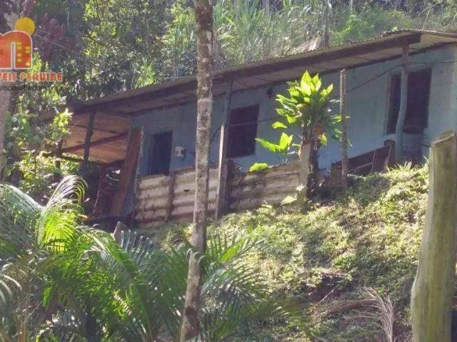 Sítio / Chácara para Venda em Miracatu/SP Pedro Barros 3 Quartos