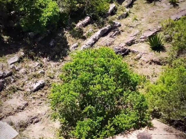 Sítio / Chácara para Venda em Mucugê/BA Centro