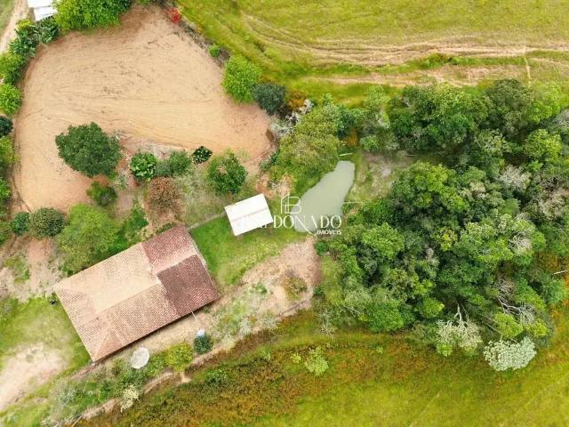 Sítio / Chácara para Venda em Munhoz/MG Centro 4 Quartos