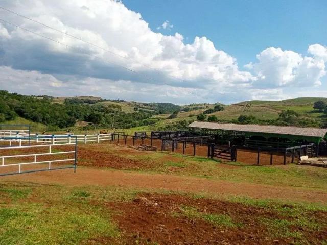 Sítio / Chácara para Venda em Nova Tebas/PR Zona Rural