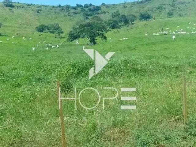Sítio / Chácara para Venda em Nova Tebas/PR Zona Rural
