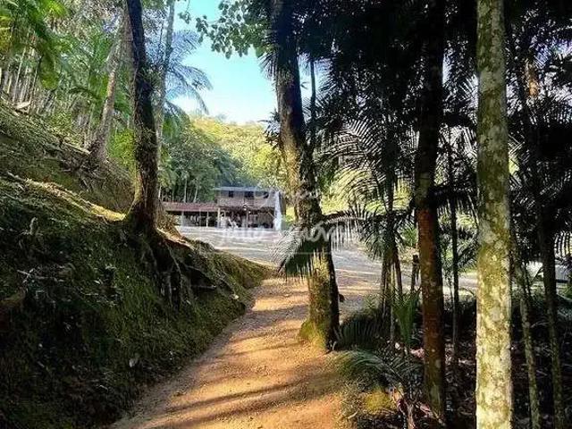 Sítio / Chácara para Venda em Nova Trento/SC Zona Rural 2 Quartos