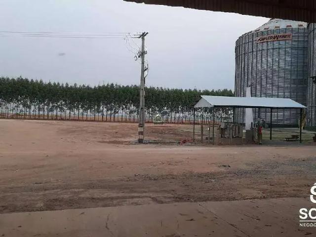 Sítio / Chácara para Venda em Nova Ubiratã/MT Centro 3 Quartos