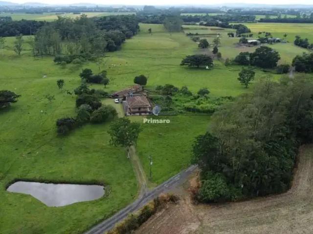 Sítio / Chácara para Venda em Nova Veneza/SC Zona Rural 5 Quartos