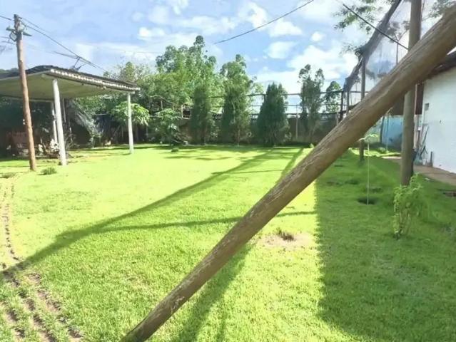 Sítio / Chácara para Venda em Nova Aliança/SP Zona Rural