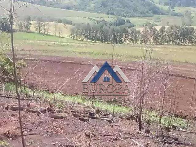 Sítio / Chácara para Venda em Nova Fátima/PR Zona Rural 3 Quartos