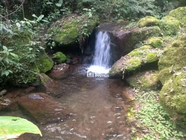 Sítio / Chácara para Venda em Nova Friburgo/RJ Área Rural de Nova Friburgo