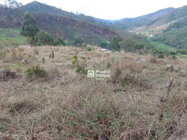 Sítio / Chácara para Venda em Nova Friburgo/RJ Campo do Coelho