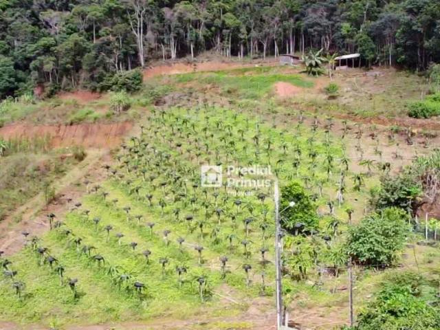 Sítio / Chácara para Venda em Nova Friburgo/RJ Varginha 3 Quartos