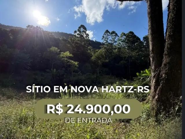 Sítio / Chácara para Venda em Nova Hartz/RS Morro Canudos