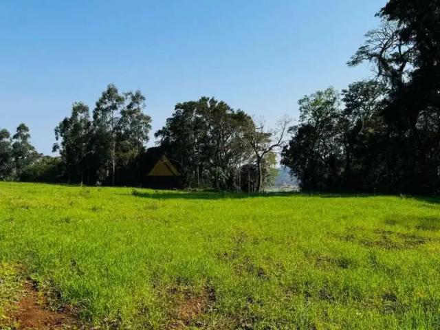 Sítio / Chácara para Venda em Nova Hartz/RS Zona Rural