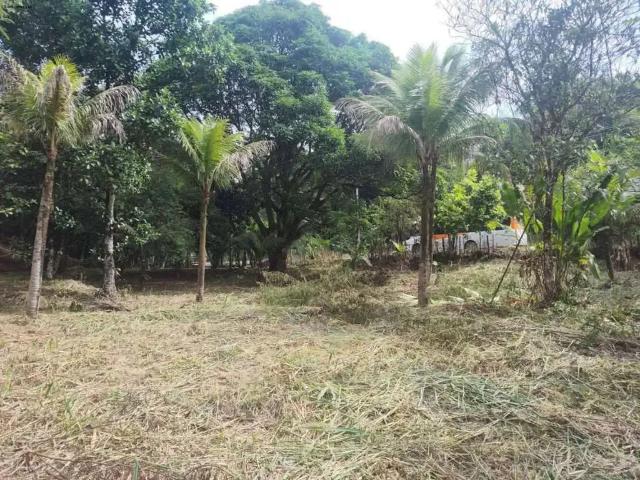 Sítio / Chácara para Venda em Nova Iguaçu/RJ Iguaçu Velho 1 Quartos