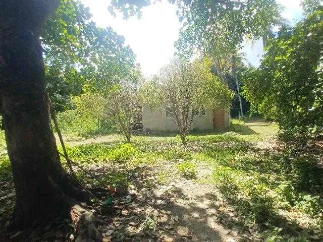 Sítio / Chácara para Venda em Nova Iguaçu/RJ Jardim Guandu 3 Quartos