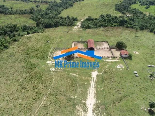 Sítio / Chácara para Venda em Nova Monte Verde/MT Zona Rural