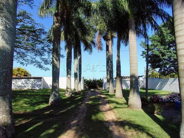 Sítio / Chácara para Venda em Nova Odessa/SP Área Rural de Nova Odessa 2 Quartos