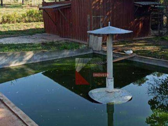 Sítio / Chácara para Venda em Nova Odessa/SP Chácara Recreio Represa 2 Quartos