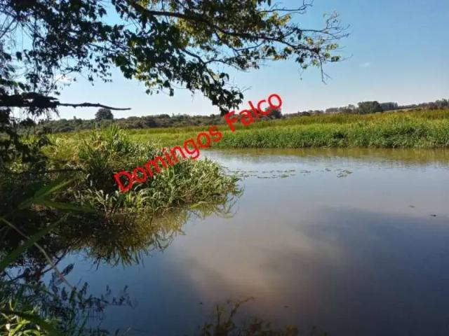 Sítio / Chácara para Venda em Nova Odessa/SP Chácara Recreio Represa 3 Quartos