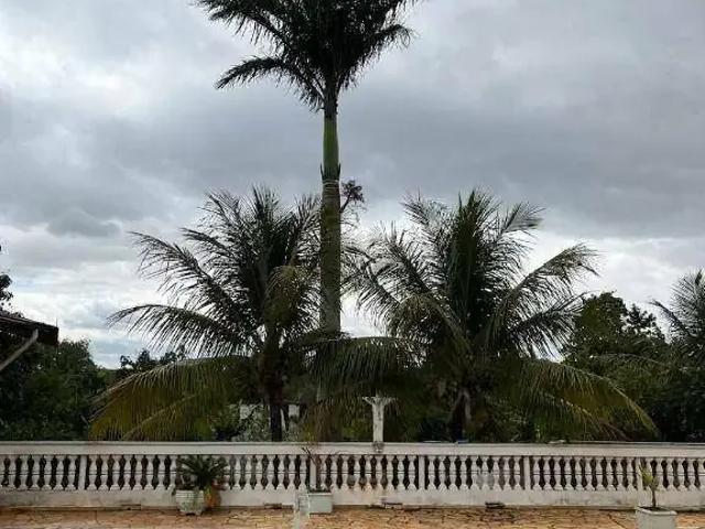 Sítio / Chácara para Venda em Nova Odessa/SP Chácaras Recanto Solar 3 Quartos