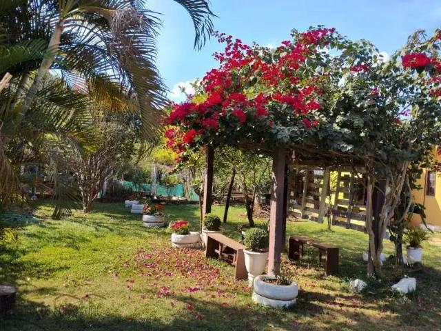 Sítio / Chácara para Venda em Nova Odessa/SP Jardim São Francisco