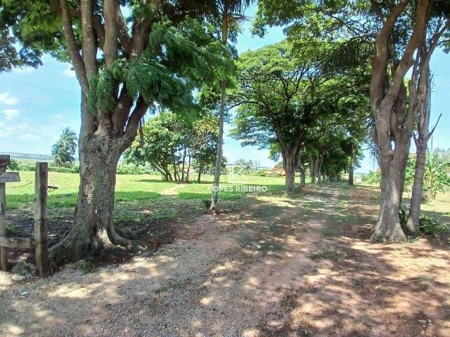 Sítio / Chácara para Venda em Nova Odessa/SP Parque dos Pinheiros 3 Quartos