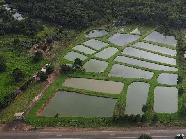 Sítio / Chácara para Venda em Nova Olímpia/MT Zona Rural