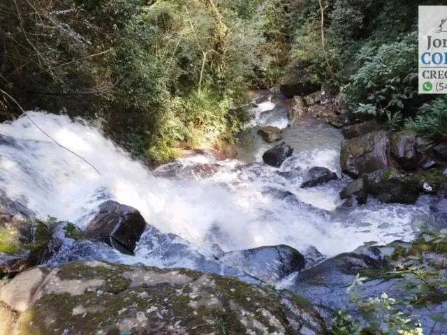 Sítio / Chácara para Venda em Nova Petrópolis/RS Centro