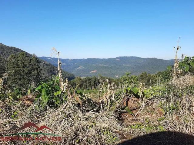 Sítio / Chácara para Venda em Nova Petrópolis/RS Fazenda Pirajá 2 Quartos