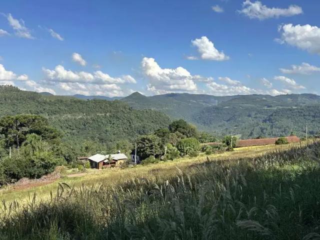 Sítio / Chácara para Venda em Nova Petrópolis/RS Feliz Lembrança 1 Quartos